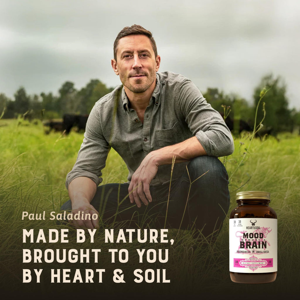 cognitive function support with vitamins