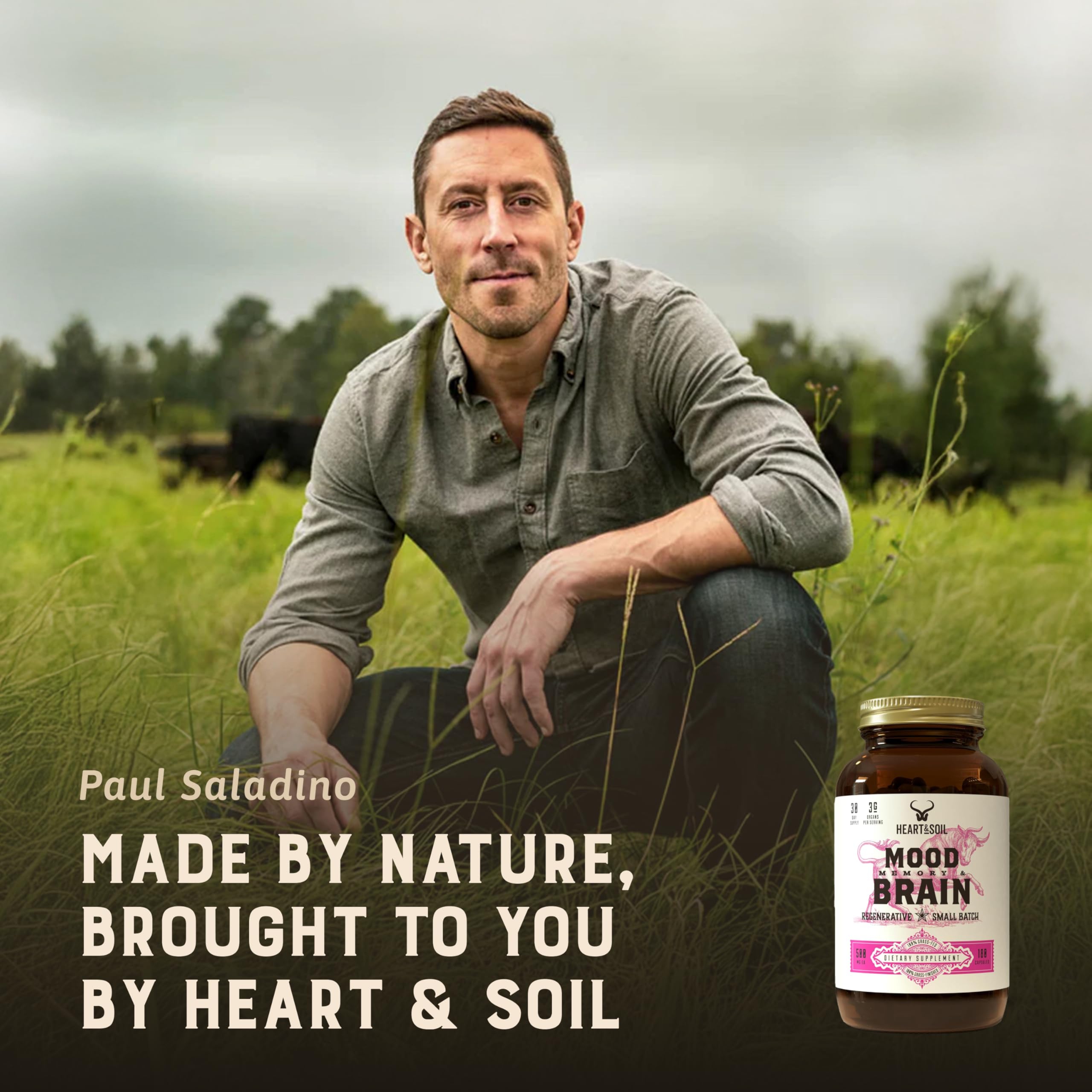 cognitive function support with vitamins