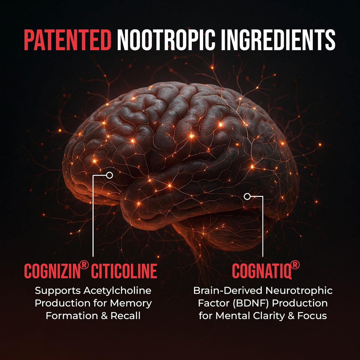 Cognitive health supplement with Bacopa
