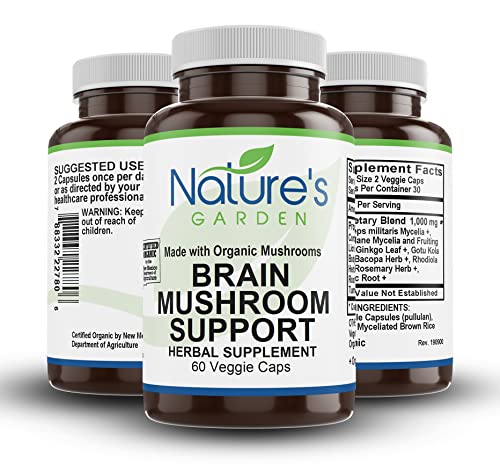cognitive health support with mushrooms