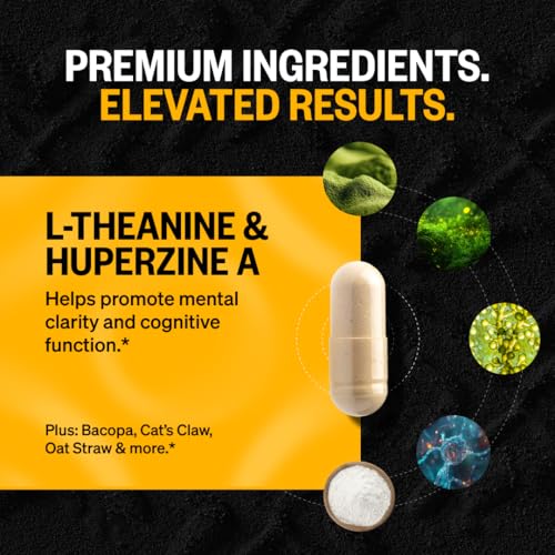 cognitive performance with ONNIT Alpha Brain
