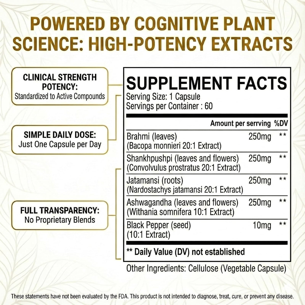 Cognitive support Bacopa Monnieri capsules