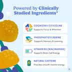 Cognitive support from FIRST DAY vitamins