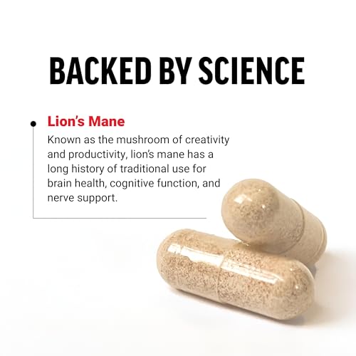 Cognitive support from herbal mushrooms