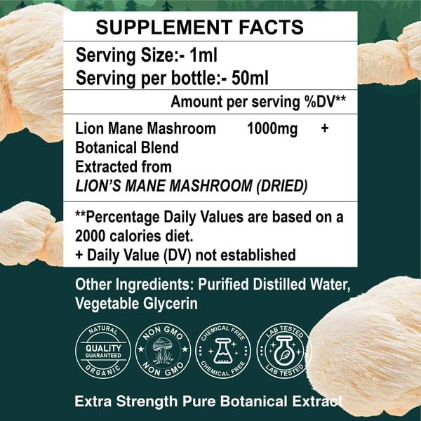 Cognitive support from Lion's Mane extract