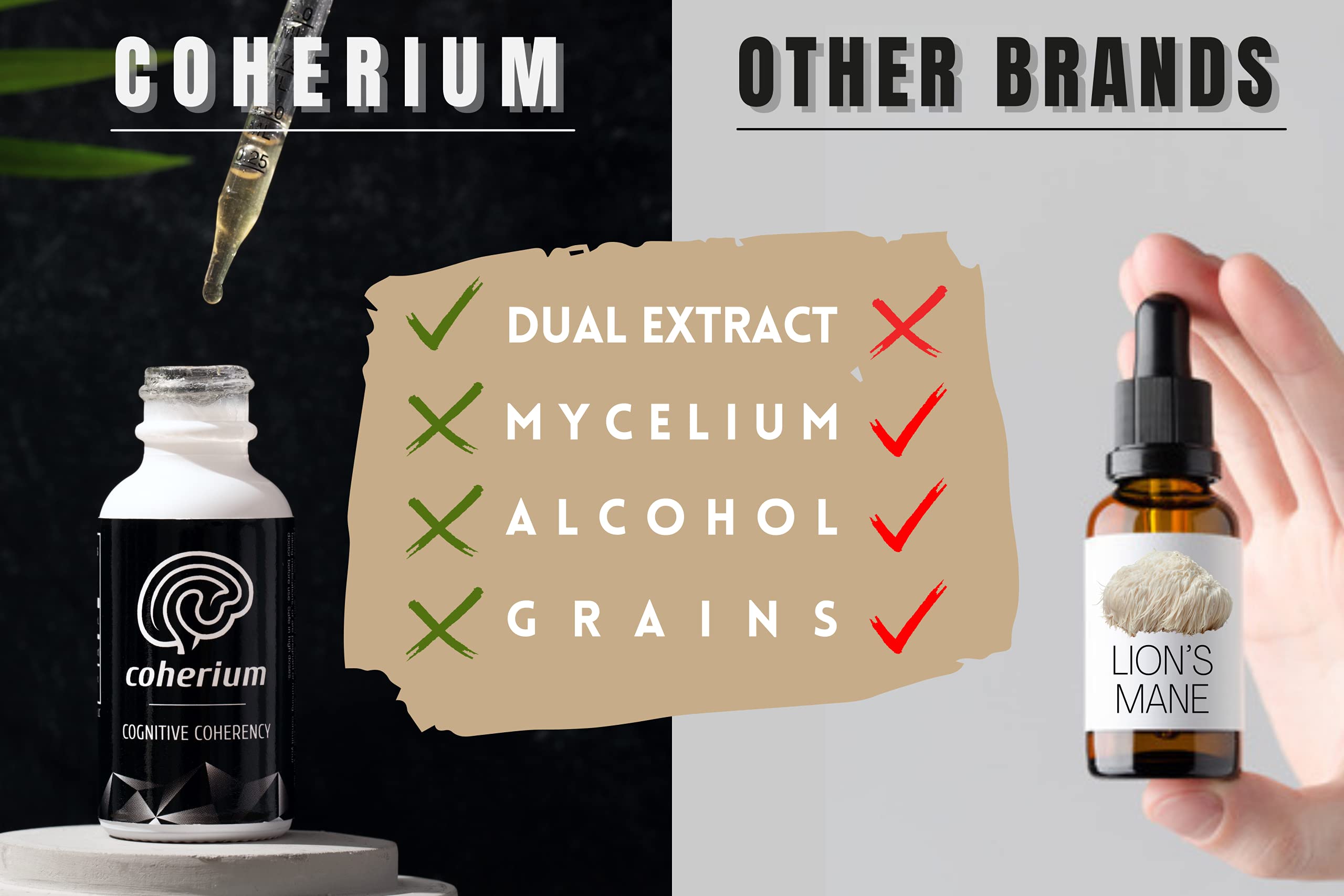 Cognitive support from mushroom extract
