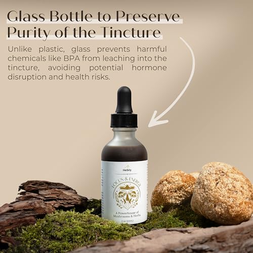 cognitive support from mushroom tincture
