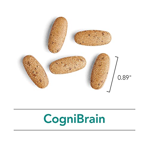 cognitive support from mushrooms