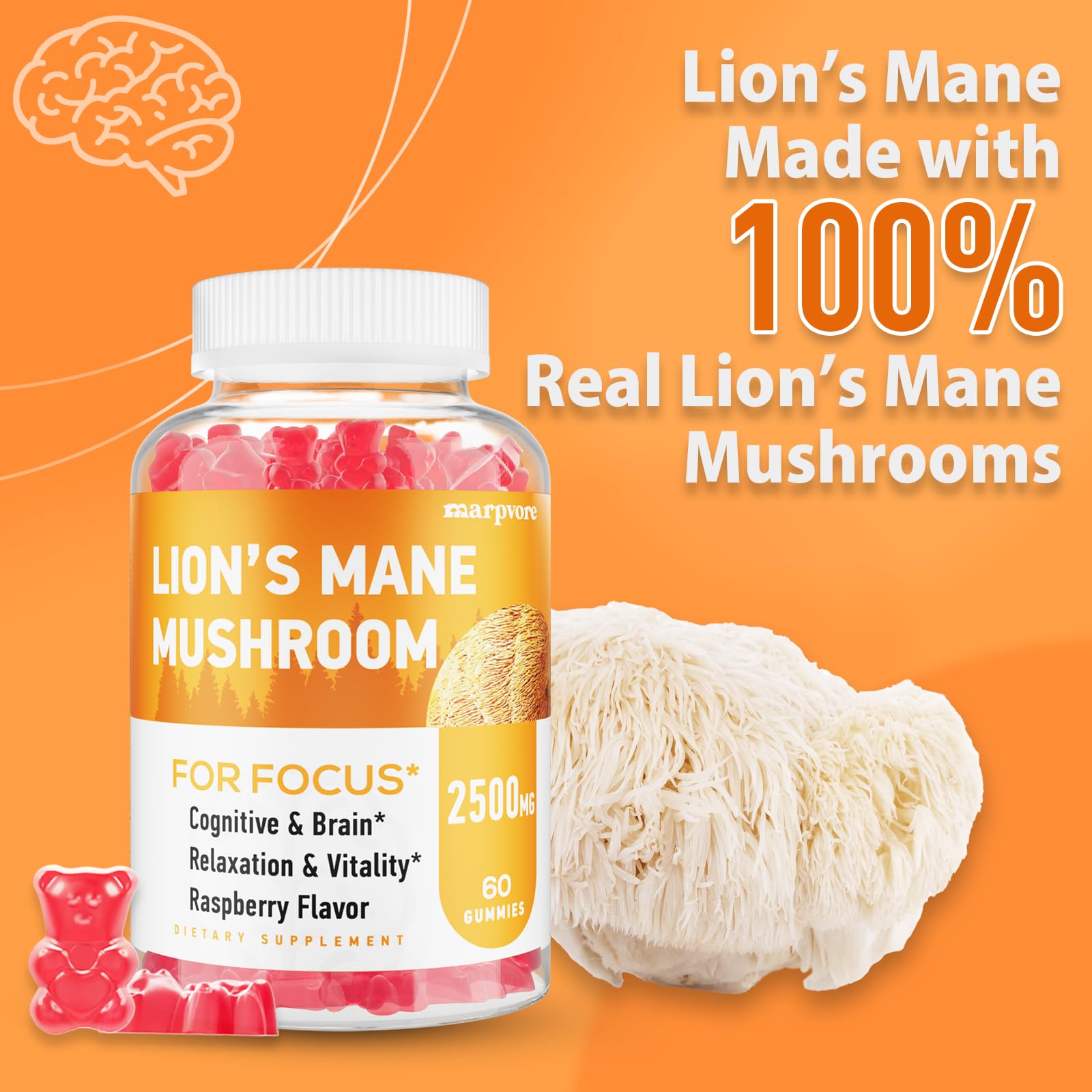 Cognitive support gummies for adults