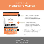 Cognitive support Lion's Mane extract