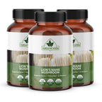 Cognitive support Lion's Mane extract