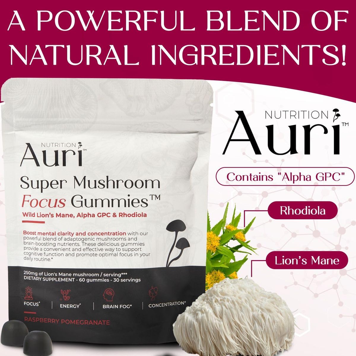 cognitive support lion's mane gummies