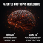 Cognitive support multivitamins for adults