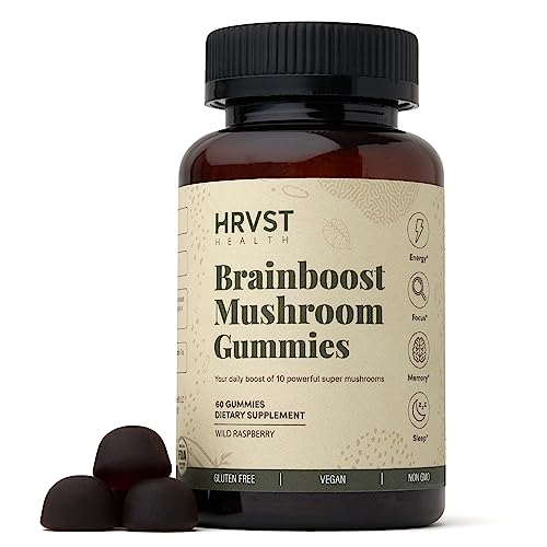 Cognitive support mushroom supplement gummies