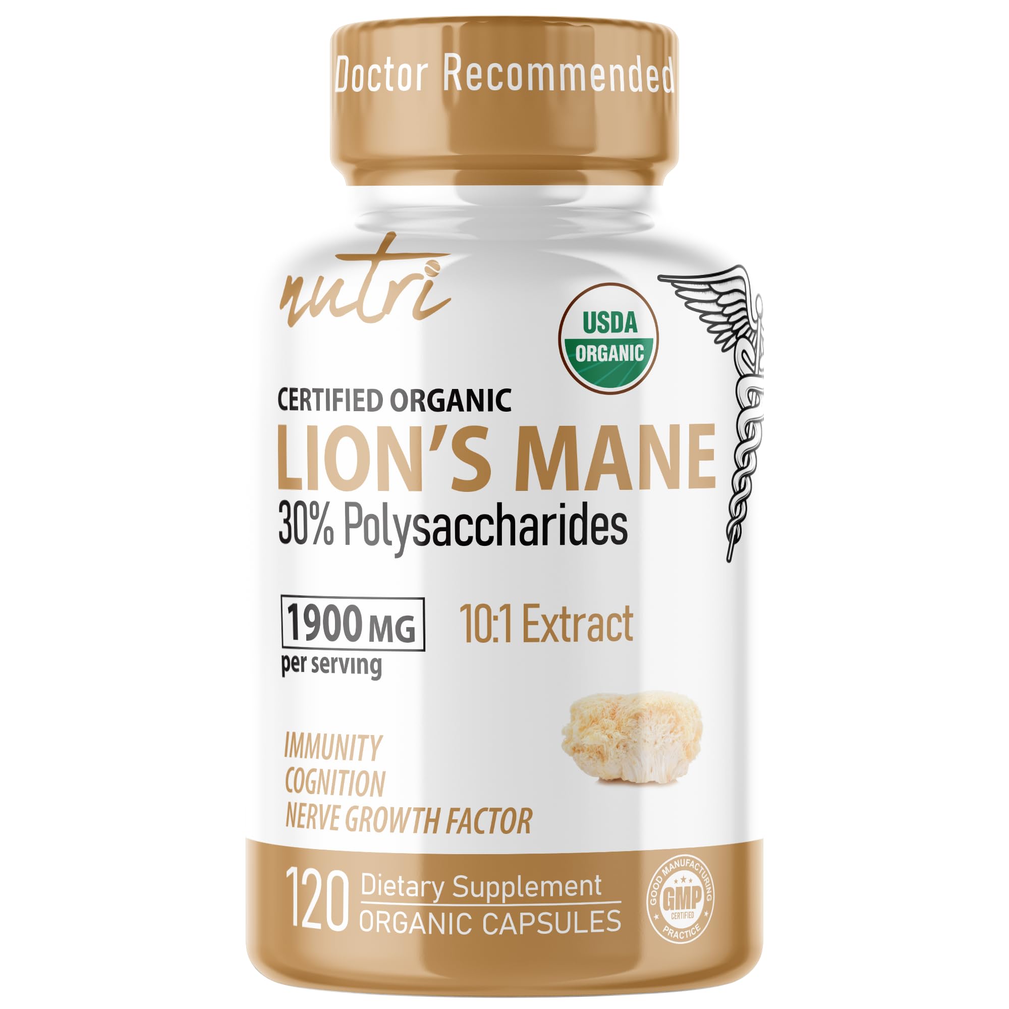 cognitive support mushroom supplement