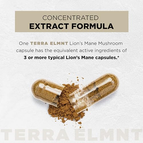 cognitive support mushroom supplement