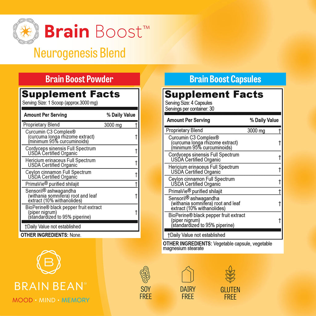 cognitive support supplements for students