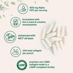 Cognitive support with Alpha GPC capsules