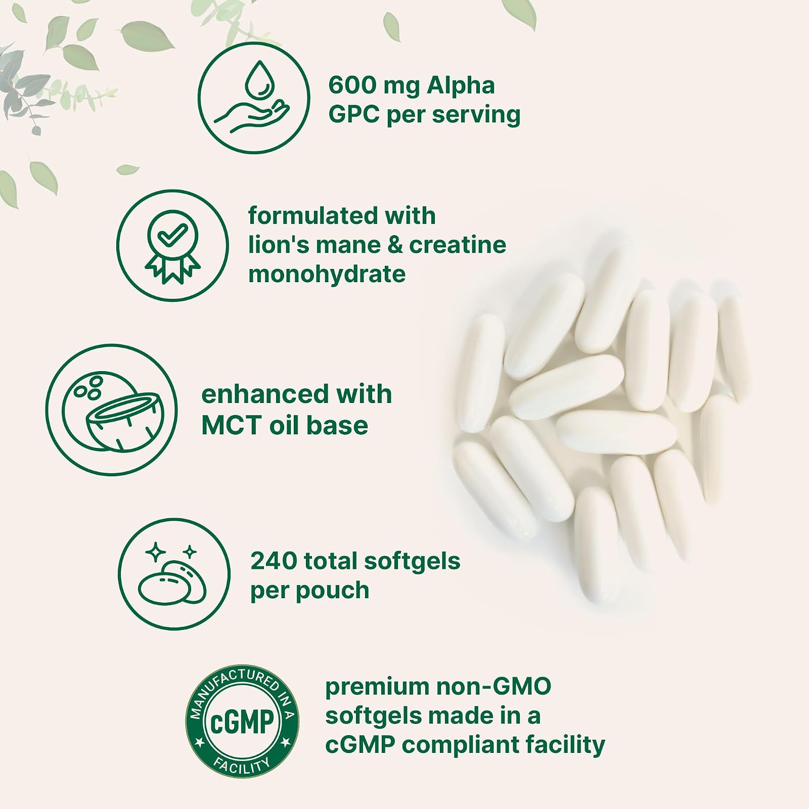 Cognitive support with Alpha GPC capsules