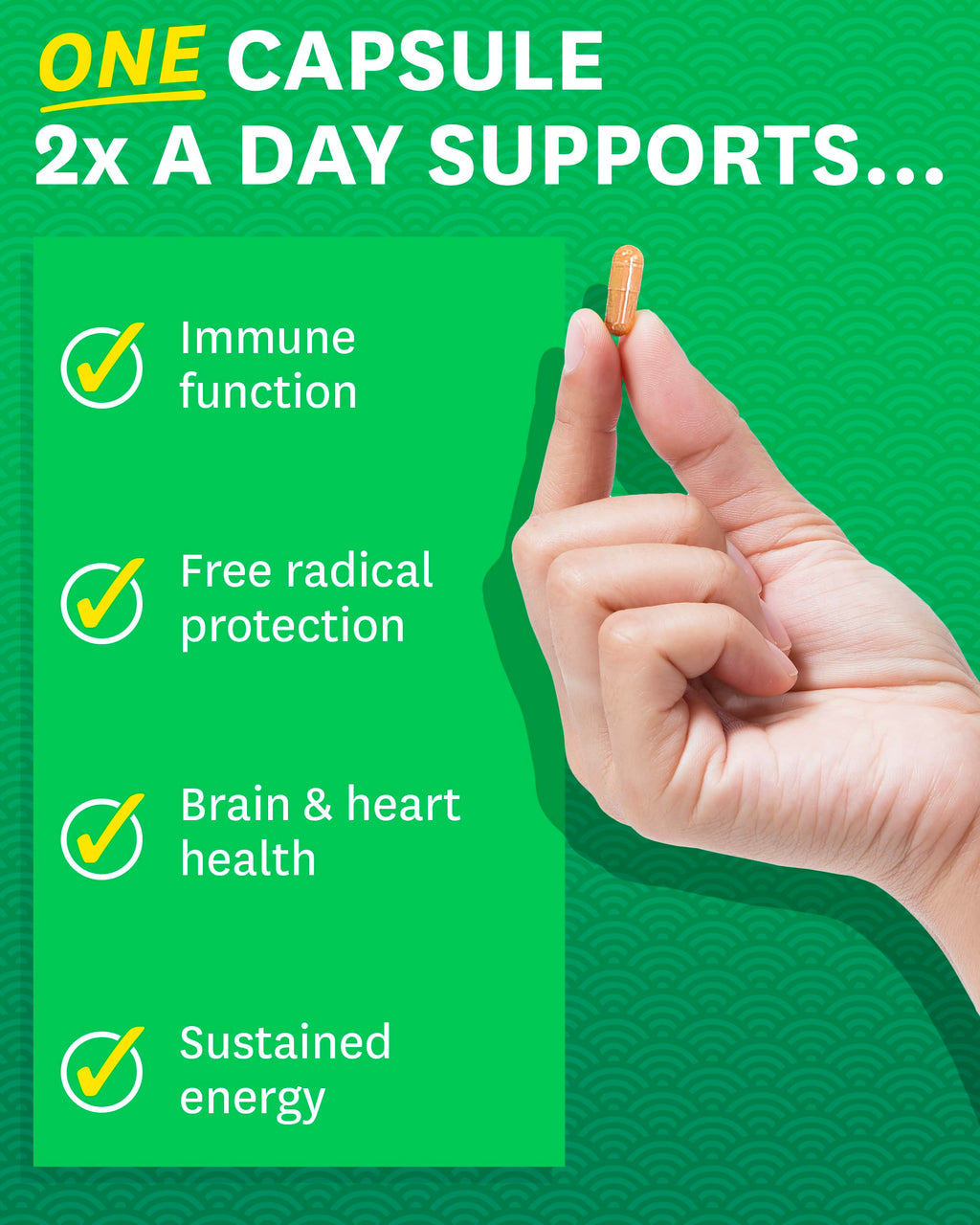 cognitive support with EGCG green tea