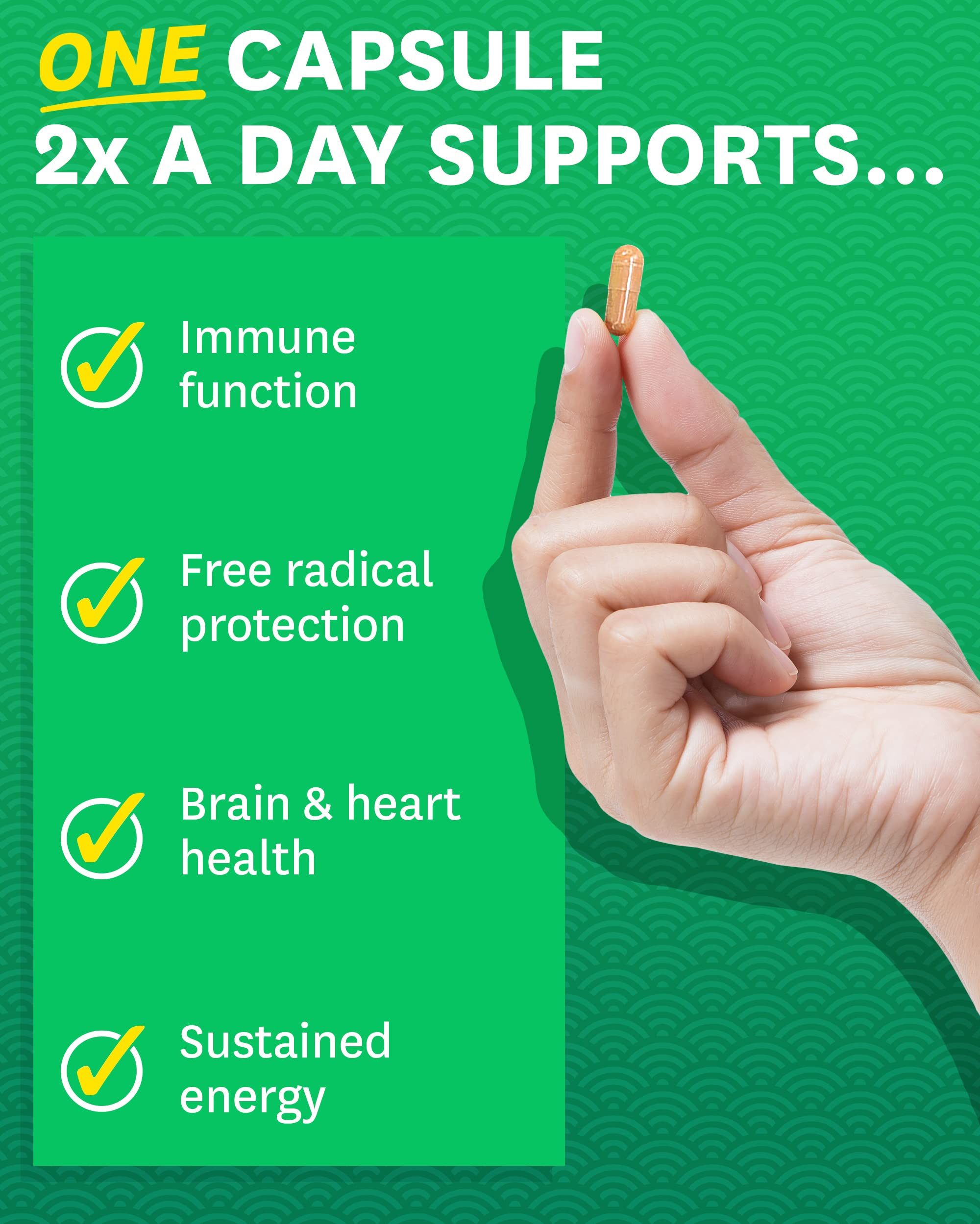 cognitive support with EGCG green tea
