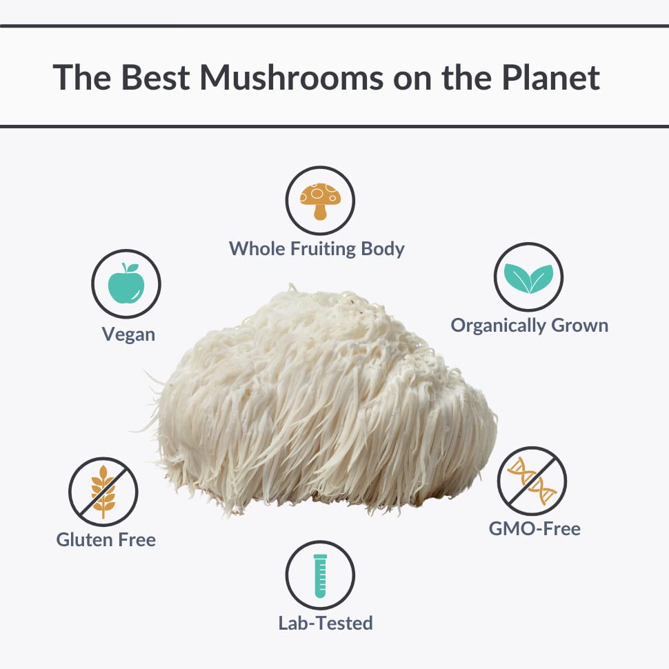 Cognitive support with Lion's Mane mushrooms