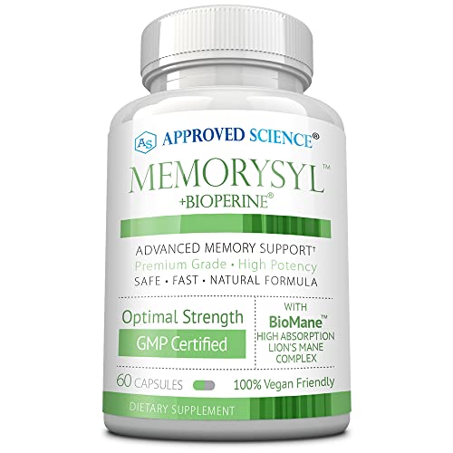 Cognitive support with Lion's Mane