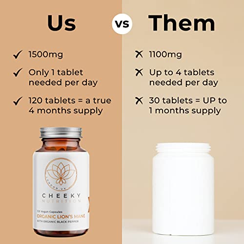 Cognitive support with Lion's Mane