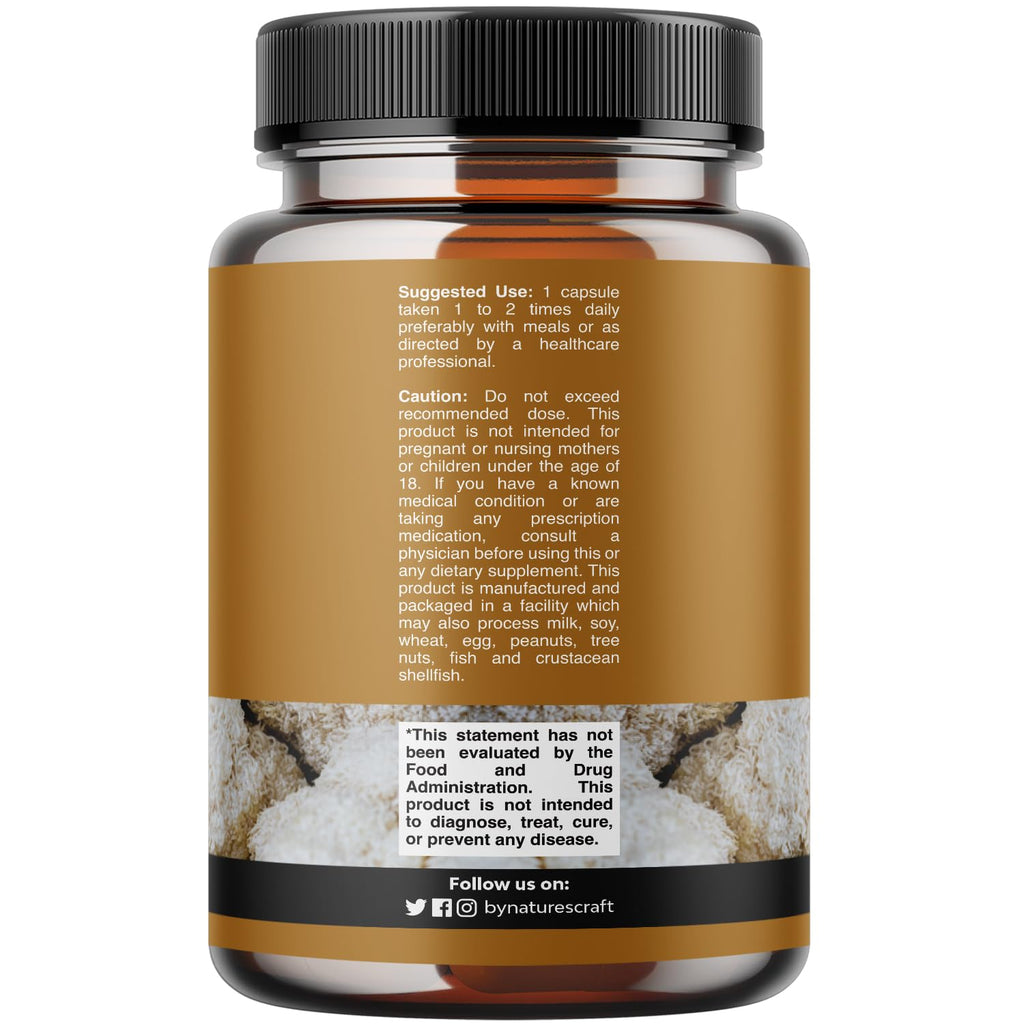 Cognitive support with Lion's Mane
