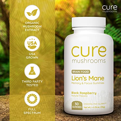 cognitive support with lion's mane