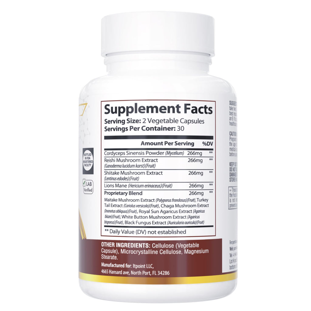 Cognitive support with Lion's Mane