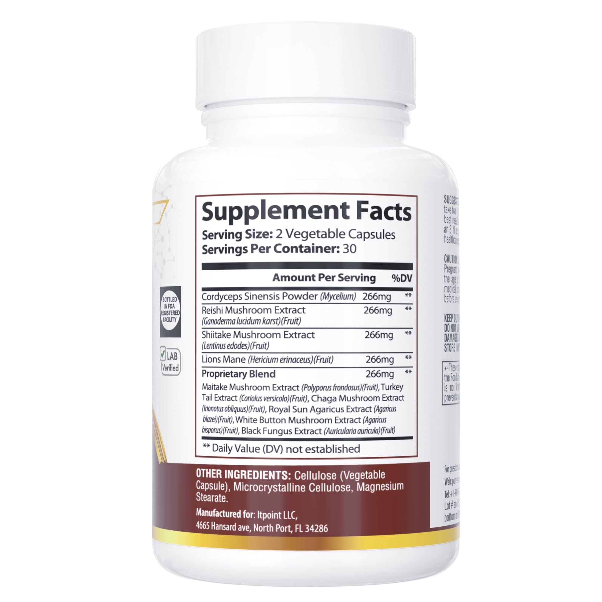 Cognitive support with Lion's Mane