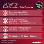 Cognitive support with Lion's Mane