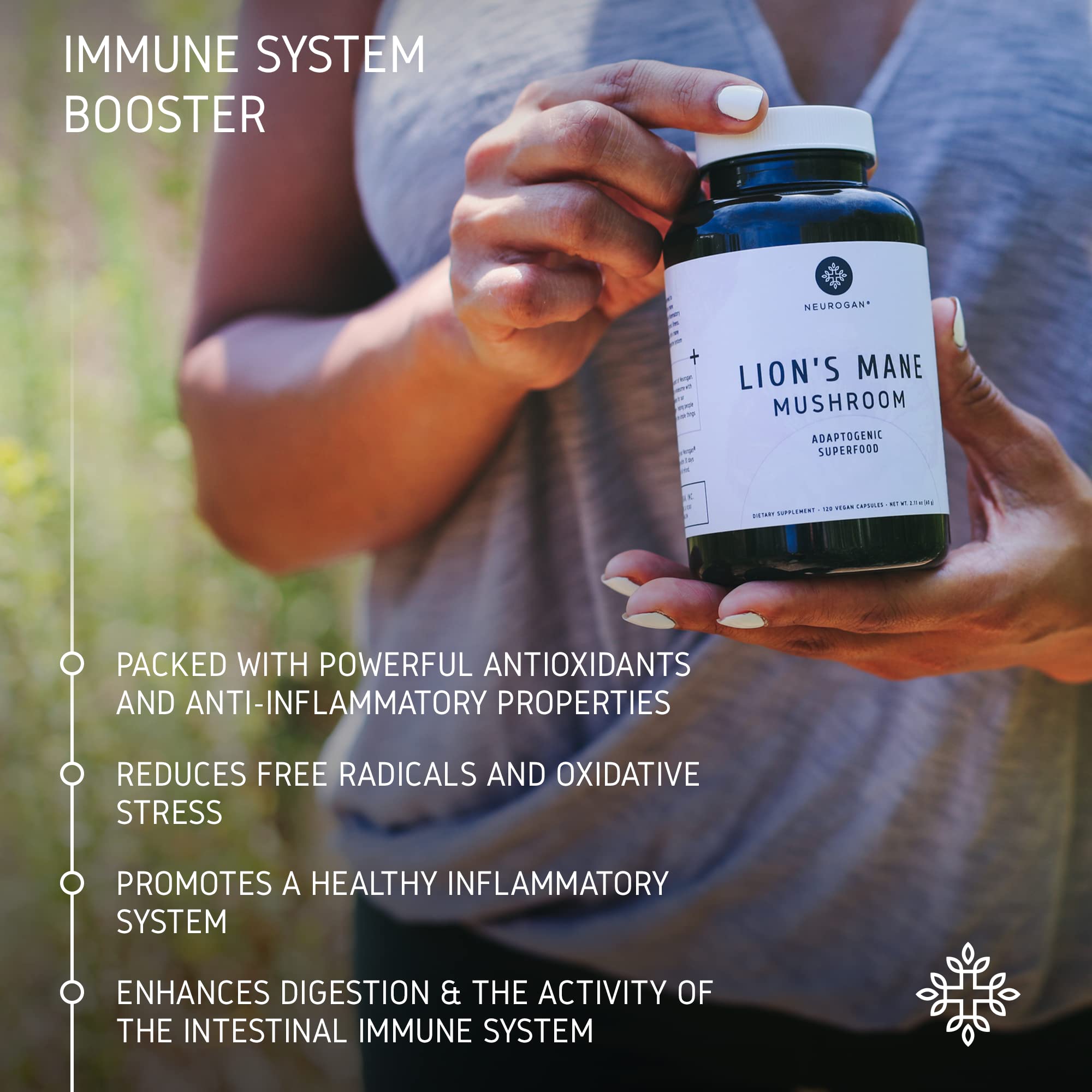cognitive support with Lions Mane