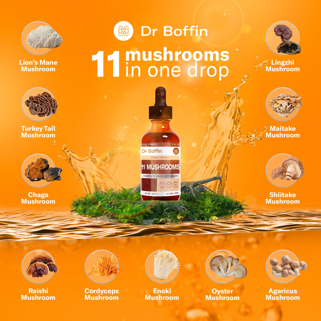 cognitive support with mushroom extract