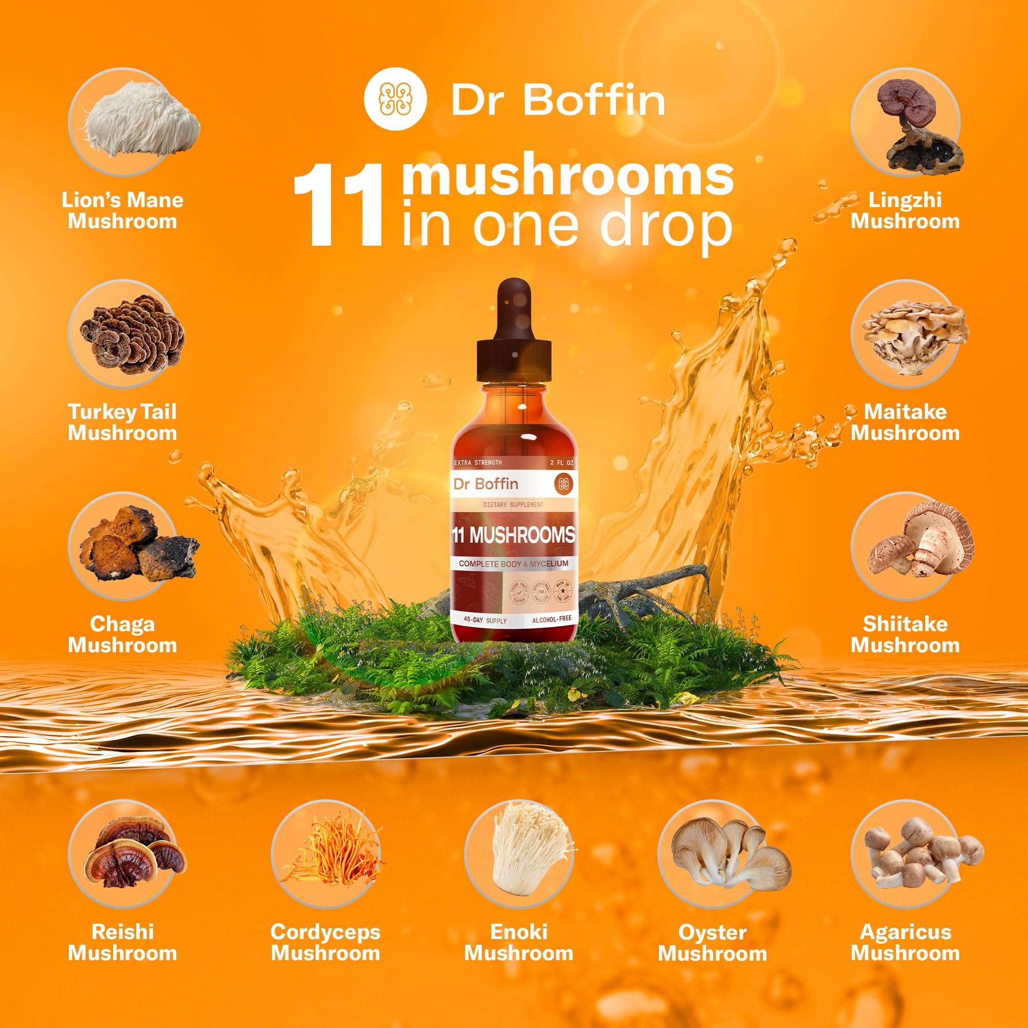 cognitive support with mushroom extract