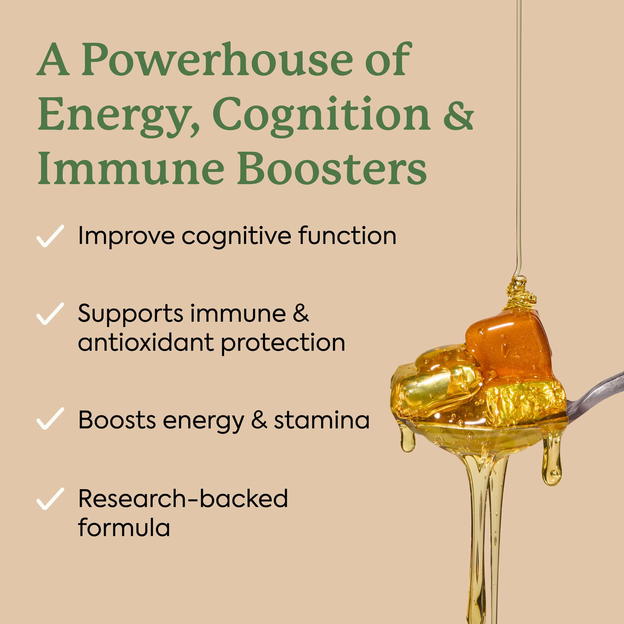 cognitive support with mushroom supplements