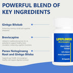 Cognitive support with natural ingredients
