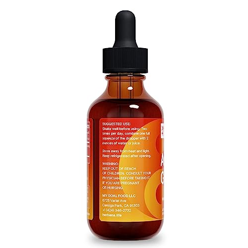 cognitive support with red ginseng