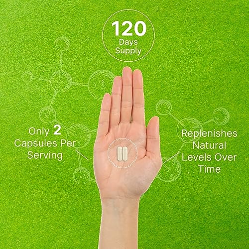 Cognitive support with soy-free lecithin