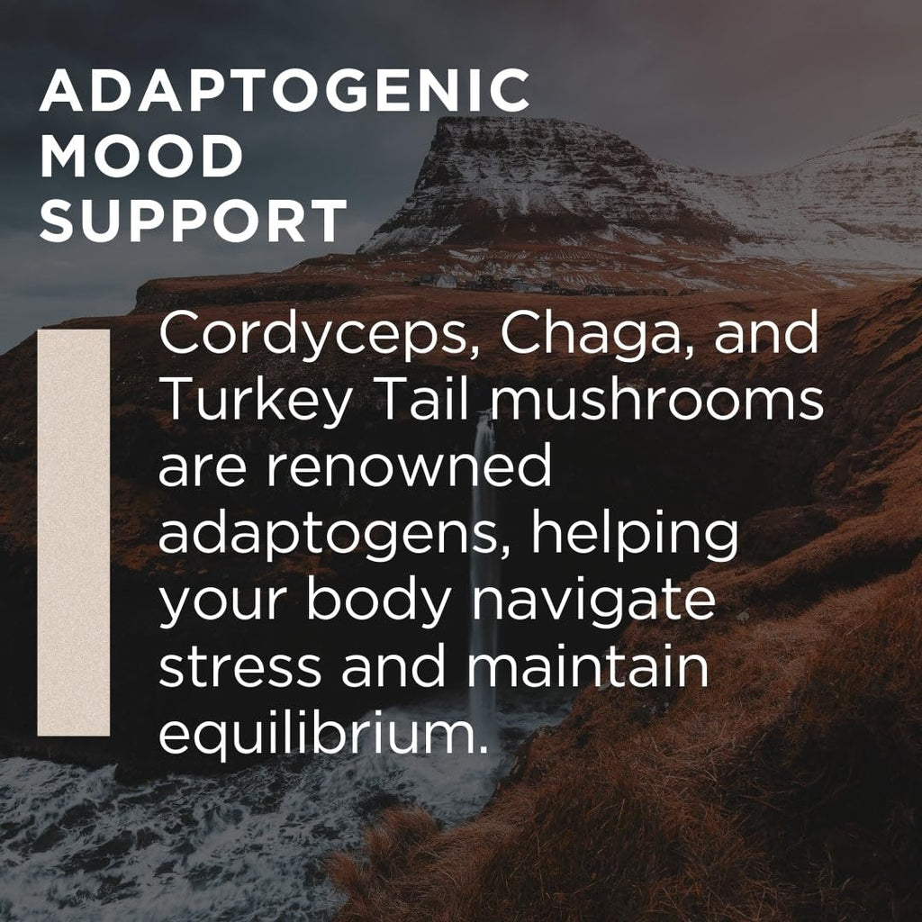 Cognitive support with Vital Mushroom formula
