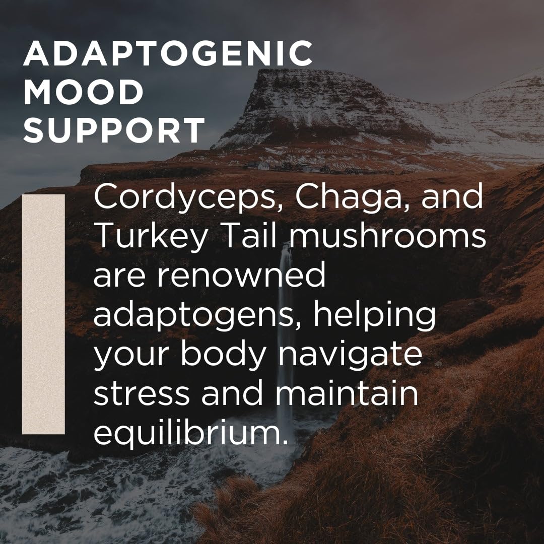 Cognitive support with Vital Mushroom formula