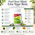 cognitive wellness supplement for focus