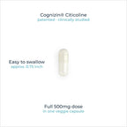 Cognizin Citicoline energy and clarity