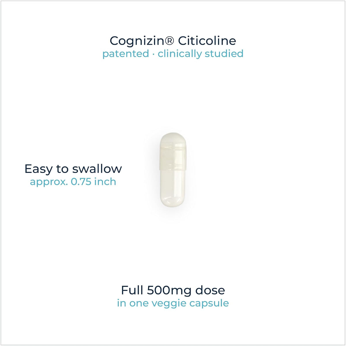Cognizin Citicoline energy and clarity
