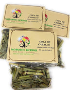 Cola de Caballo herbal tea benefits