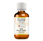 cold pressed black currant oil