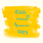 cold-pressed ginger and elderberry benefits