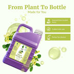 cold-pressed moringa oil for cooking
