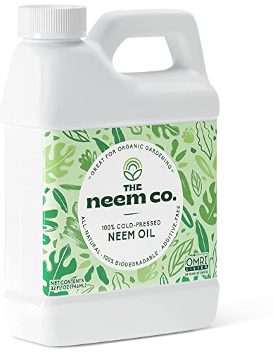 cold pressed neem oil for hair